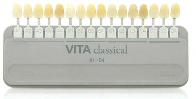 Porcelain Vitapan Shade Guide classic Original 16 Colors | eBay