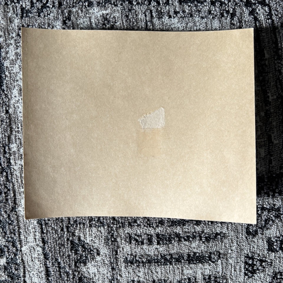 Vintage Bad Dog Sticker Skateboard Sticker 1980’s | eBay