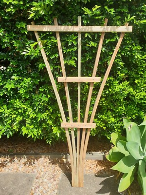 Timber Garden Trellis - Fan shaped (1800 x 900) - H3 Treated Pine ...