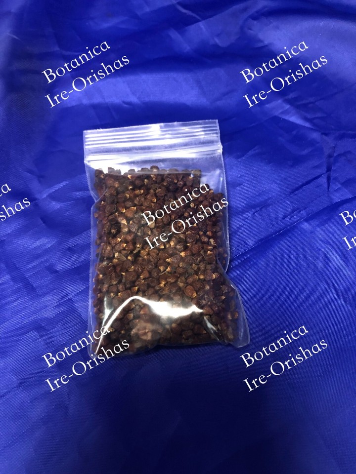 PIMIENTA DE GUINEA (ATAARE) religion yoruba ifa orula africa orunmila ...