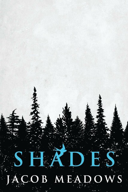 Shades von Jacob Meadows (2021, Taschenbuch) online kaufen | eBay.de