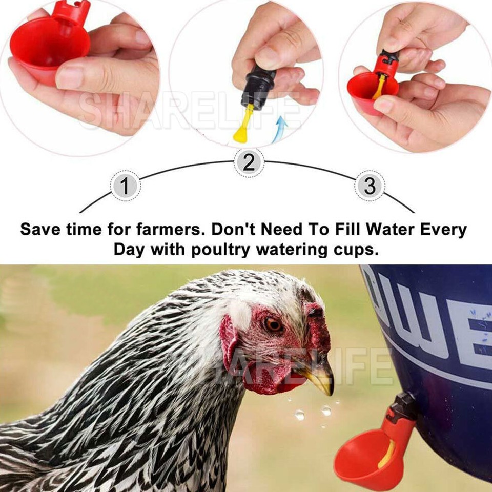 10x/20x Automatic Cups Water Feeder Drinker Chicken Waterer Poultry ...