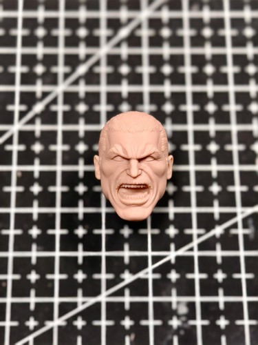 1:4 1:6 1:12 1:18 Invincible Thragg Roar Head Sculpt For Male Action ...