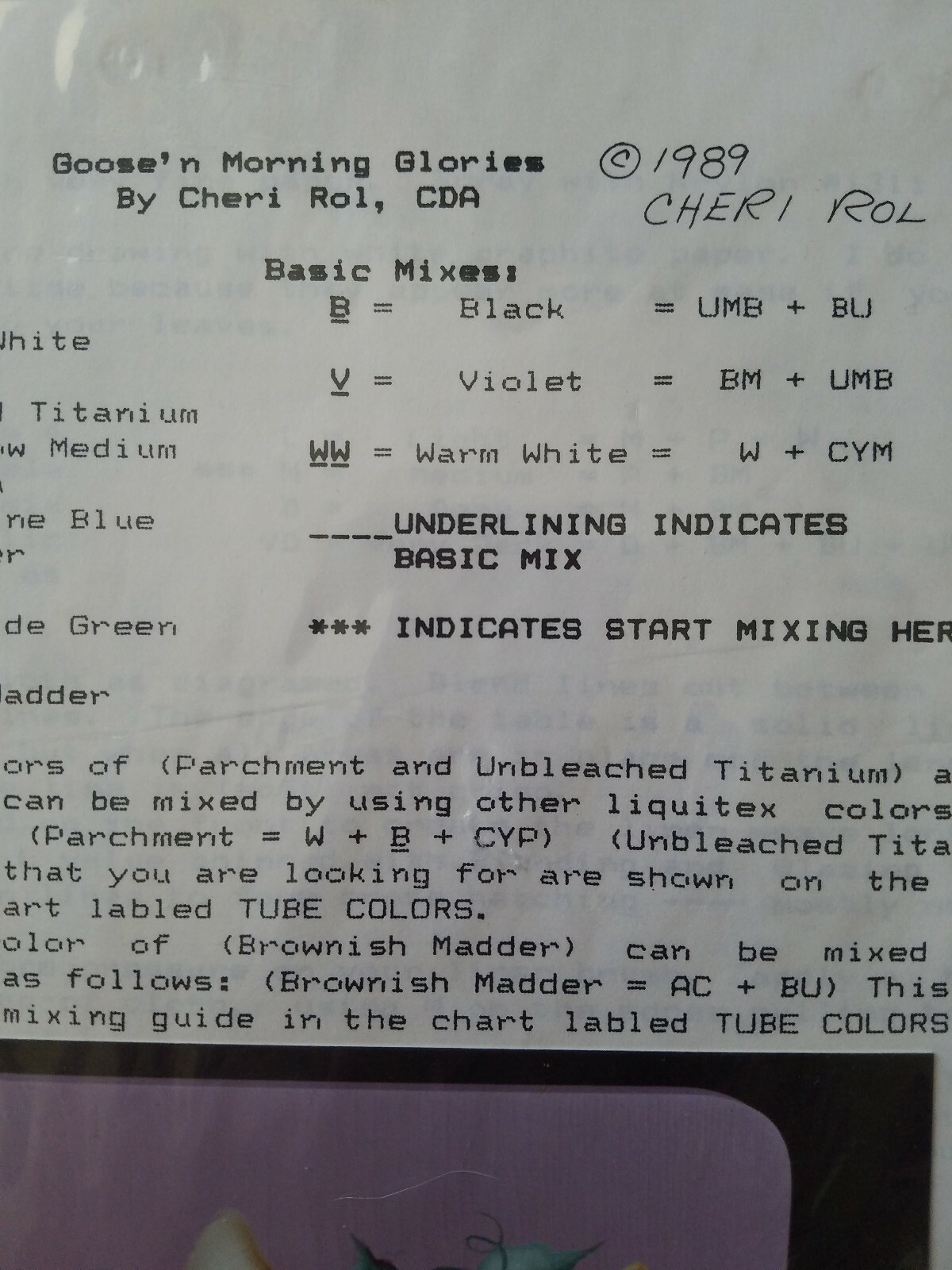 CHERI ROL 1989 GOOSE MORNING GLORY OIL STILL LIFE PAINTING PATTERN PACK ...