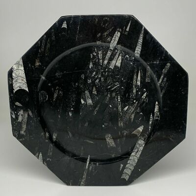 2pcs set,12" Large Octagon Shape Fossils Orthoceras Plates Black ...