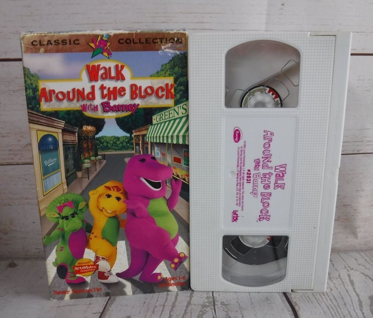 Walk Around The Block With Barney Vhs