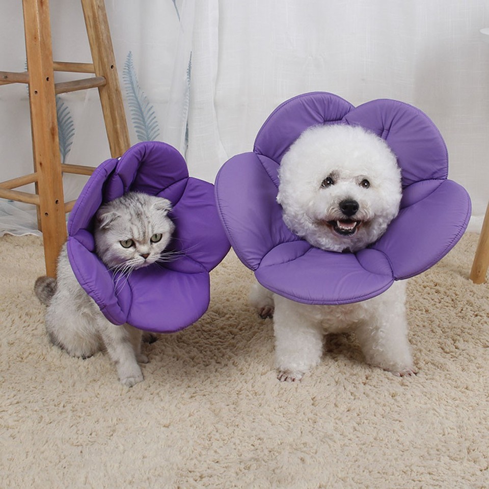 Pet Protective Collar Flower Elizabethan Collar Creative Pet Neck ...