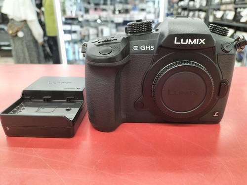 Panasonic Dc-Gh5 Mirrorless Single Eye | eBay