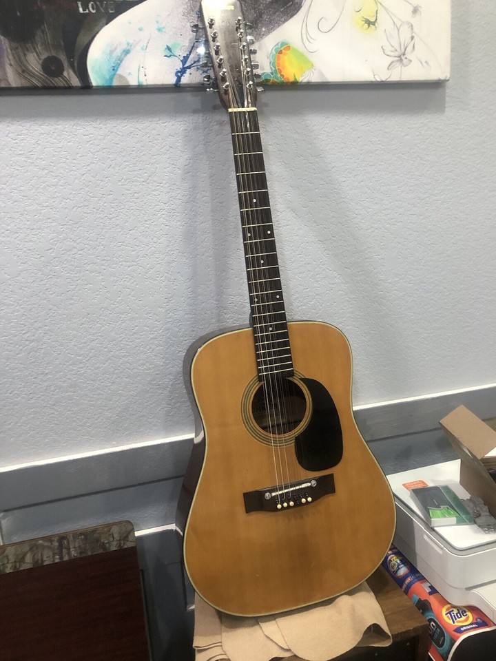 Vintage 1970s Hohner Model HG12 Acoustic 12 String Guitar Read ...