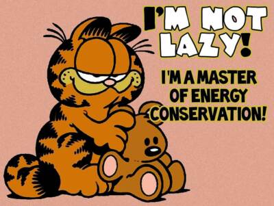 Garfield - I'm Not Lazy Metal Sign | eBay