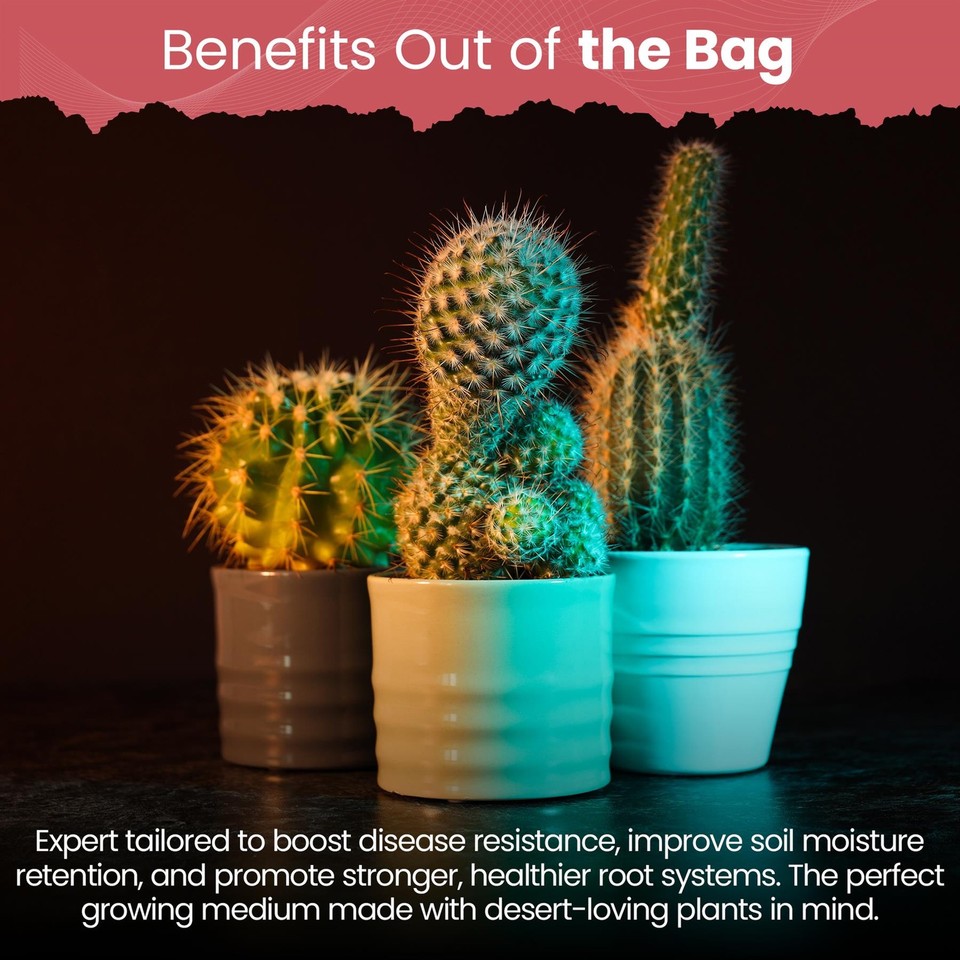 Cacti & Succulent Compost Worm Cast Potting Mix Indoor Plant Cactus ...