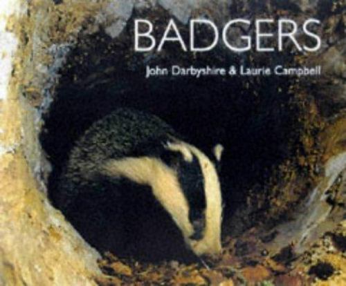 Badgers by John Darbyshire (1998, Trade Paperback) for sale online | eBay