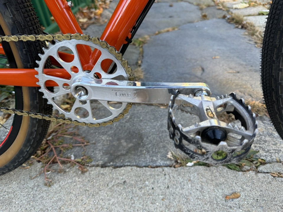 Wily 19” Steel Custom 29” MTB Cruiser Rohloff White Bros Paul Phil Wood ...