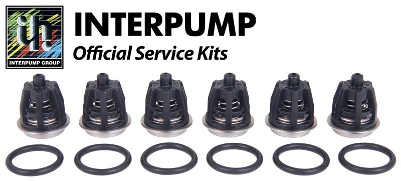 Interpump KIT 1 Black Valves Repair Kit (ws202 ws201 etc valve KIT1 ...