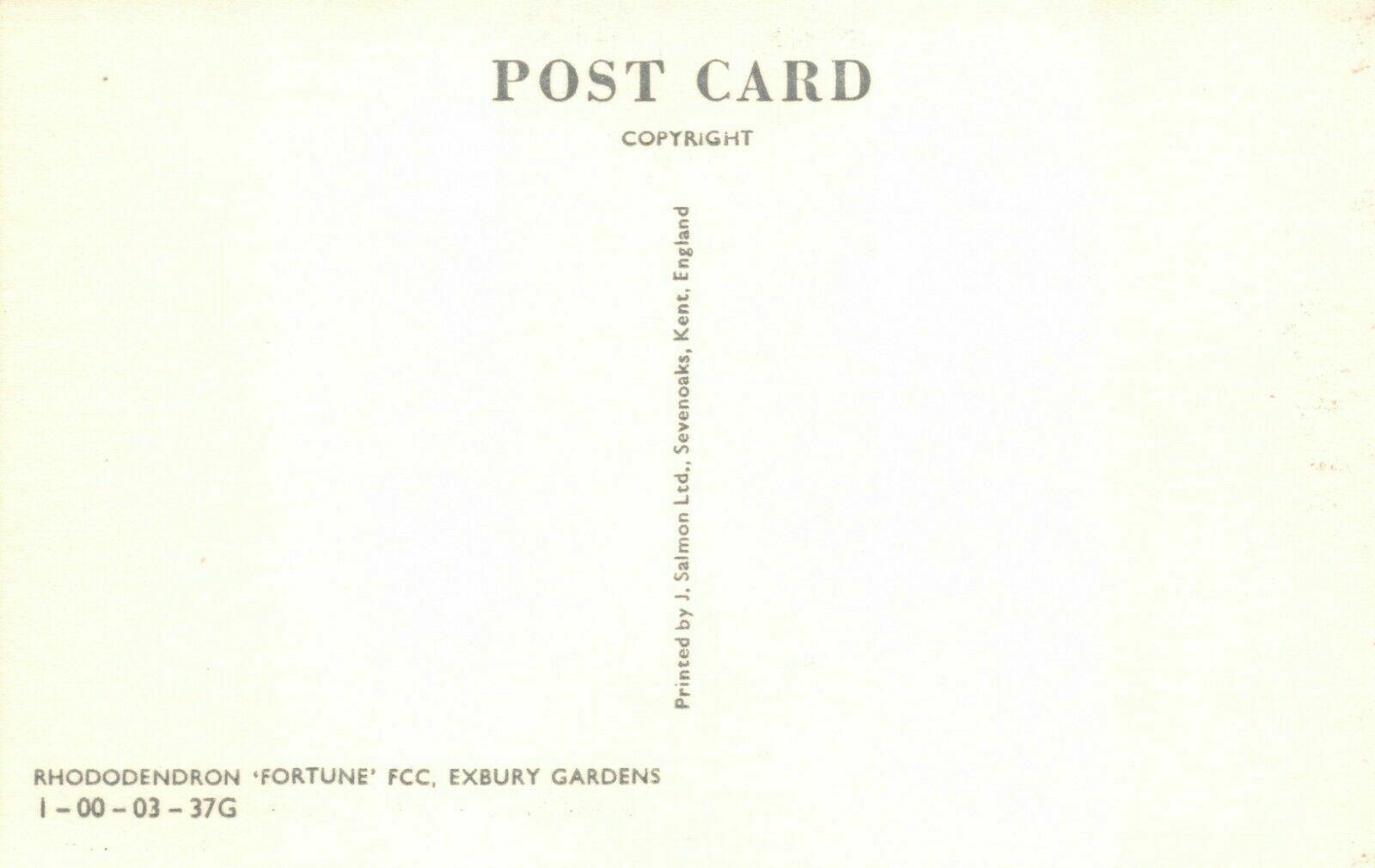 Vintage Hampshire Postcard, Rhododendron Fortune FCC Exbury Gardens ...