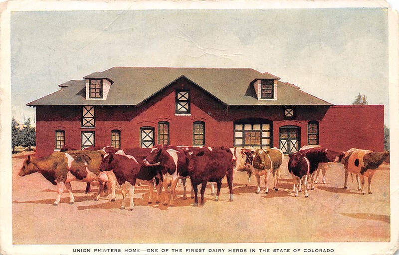 Union Printers Home Colorado Springs First Dairy Herd | eBay