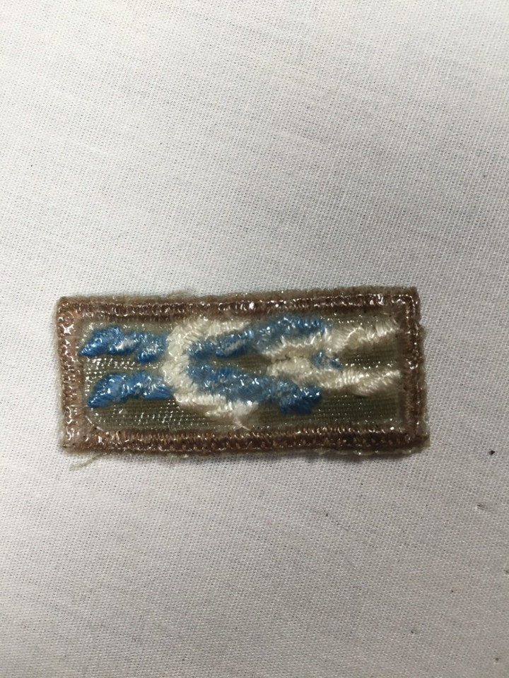 Silver Beaver council Award Khaki Plastic back BSA Knot Patch | eBay