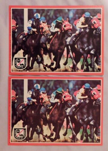 Horse Racing Sports Trading Cards & Accessories for sale | eBay