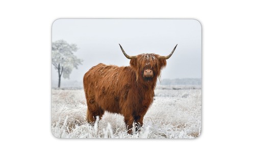 Highland Cow Mouse Mat Pad - Cattle Snow Winter Scotland Computer Gift ...