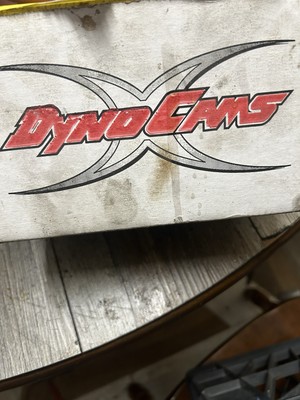 Dyno Cams 255 Animal | eBay