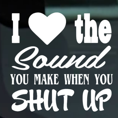 I Love The Sound You Make When You Shut Up Decal Car Truck Sticker 22 ...
