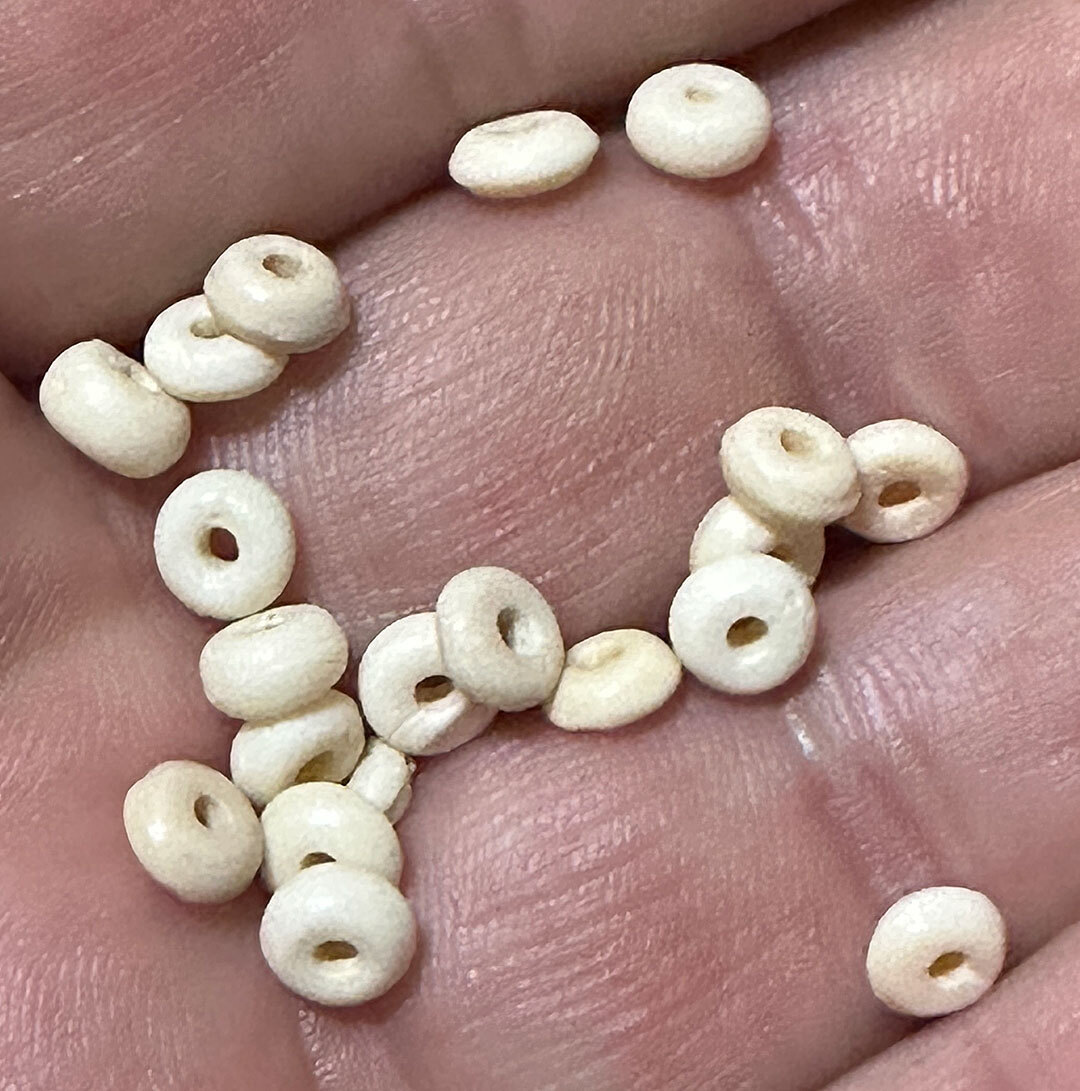 (10) Crow Indian Trade Beads Bone Donut Beads Fur Trade Era | eBay