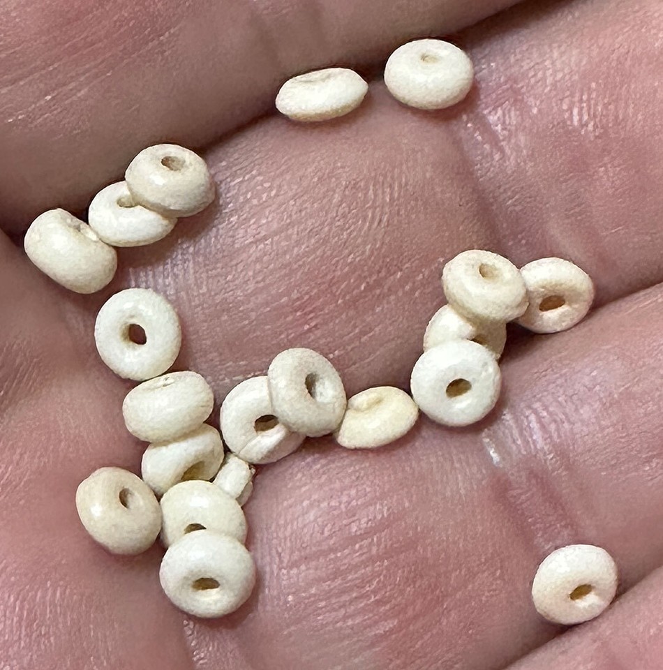 (10) Crow Indian Trade Beads Bone Donut Beads Fur Trade Era | eBay