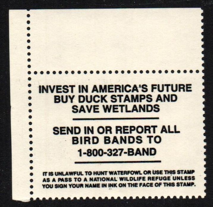 FEDERAL DUCK STAMP RW67 2000 MOTTLED DUCK VF/NH ARTIST – ADAM GRIMM PNS ...