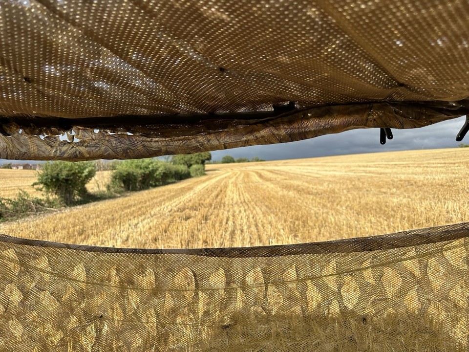 Stealth 2-ply harvest-reed camouflage hide net,Woodpigeon Shooting ...