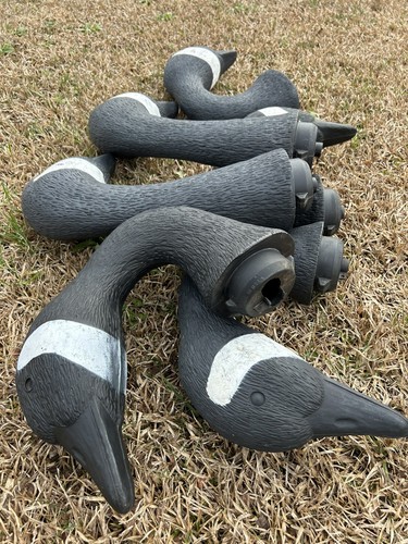 Vintage FPC Canadian Geese Decoy Heads - 4 Feeder & 2 Sentry Goose Made ...