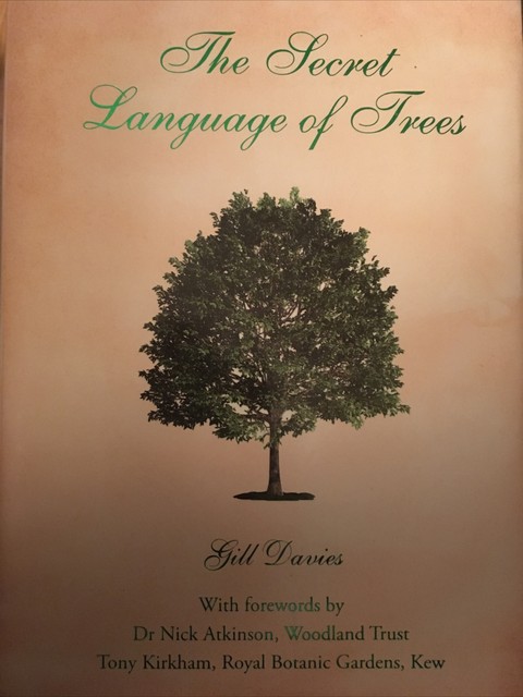 The Secret Language of Trees by Gill Davies 9781849311557 | for sale ...