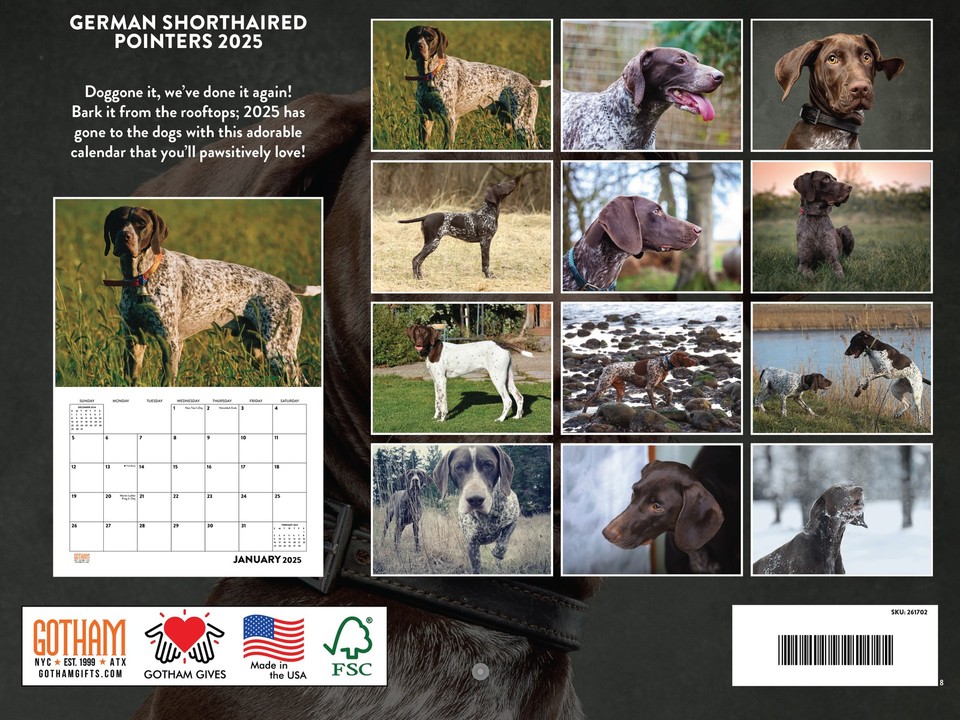 German Shorthaired Pointer Calendar 2025 Monthly Wall Calender 12 Month ...