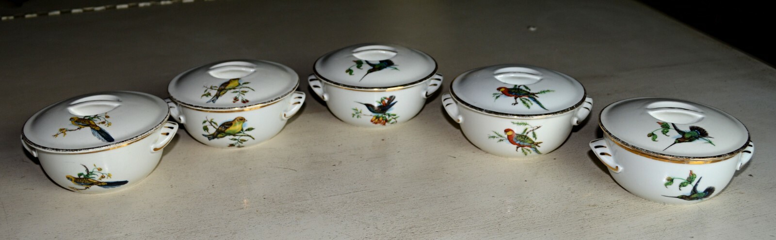 Vintage Pillivuyt Pilivite EXOTIC BIRDS Set/5 ONION SOUP BOWLS w/LIDS ...
