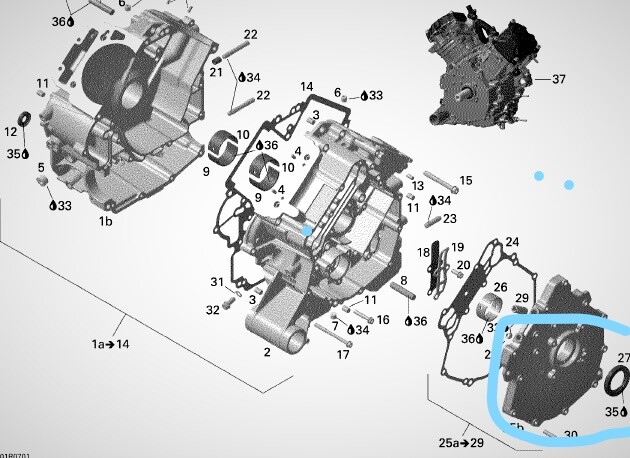 CAN-AM REAR GEAR CASE OIL SEAL,OUTLANDER, RENEGADE, MAVERICK, DEFENDER ...