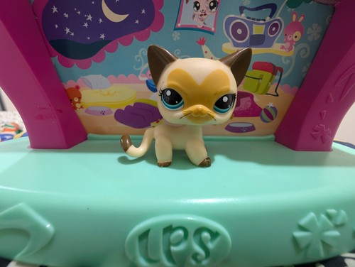 Littlest Pet Shop #3573 Heart faced siamese shorthair cat | eBay