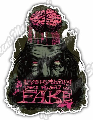 Everything You Know Is Fake Brain Car Bumper Window Vinyl Sticker Decal ...