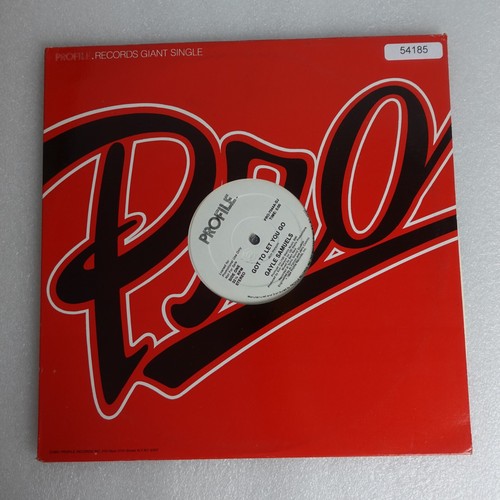 Gayle Samuels Got To Let You Go PROMO SINGLE Vinyl Record Album | eBay
