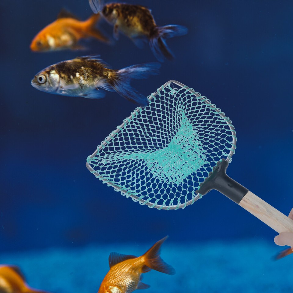 2 Pieces Aquarium Fish and Shrimp Fishing Net Trend Post Hoop | eBay