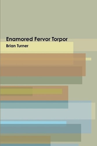 Enamored Fervor Torpor by Brian Turner (English) Paperback Book ...