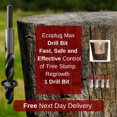 Eco Plug Max Tree Killer, Fast Control of Tree Stump Regrowth (x100 ...