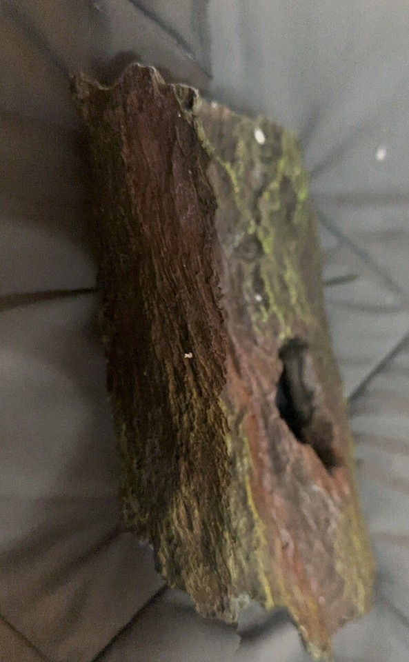 Log Hideout Rainforest Series - Reptile Wood Hide, Basking Rock ...