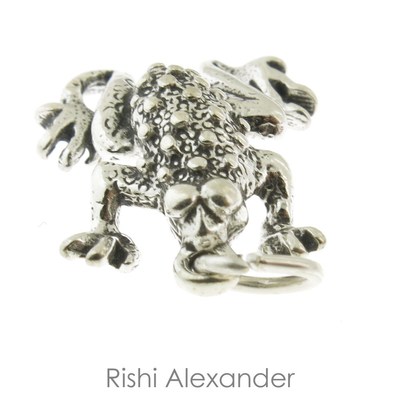 925 Sterling Silver Toad Charm | eBay