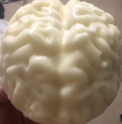 Zombie FAKE HUMAN BRAIN Chop Shop Part Organ Halloween Horror Prop ...