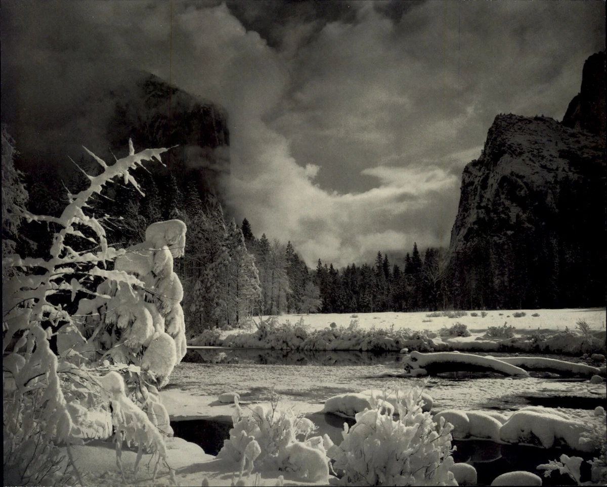 Ansel Adams Photography Winter Trees