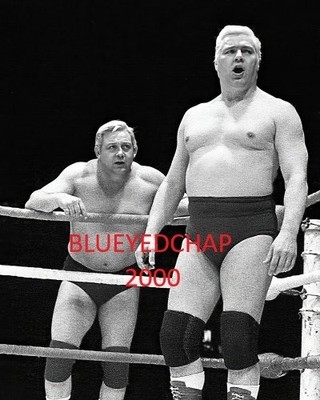 RAY STEVENS & PAT PATERSON WRESTLER 8 X 10 WRESTLING PHOTO NWA AWA WWF ...