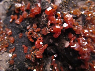 Gem Sparkly Red Vanadinite Crystals with Black Goethite on Matrix ...