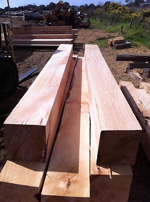 Cypress 200X200 Feature Timber Fence Gate Pergola Posts | eBay Australia