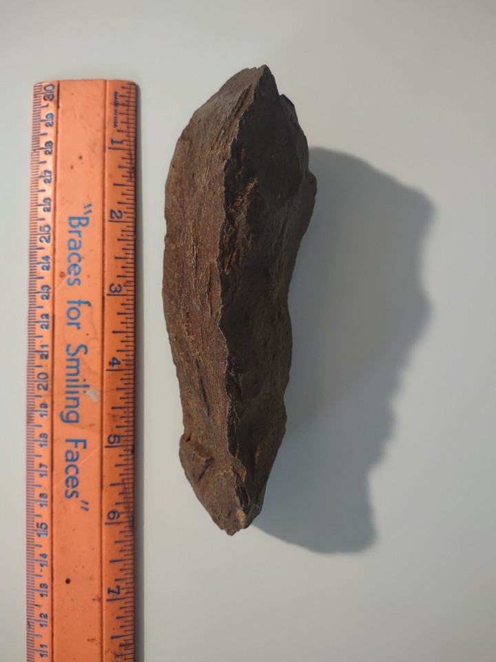 Florida Georgia Arrowhead Artifact Adze Scraper Paleo Early Archaic | eBay