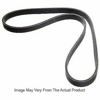 Serpentine Belt Dayco 5061150 fits 89-91 Dodge Dakota 5.2L-V8 for sale ...