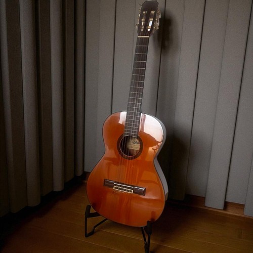 Aria Mini Classical Guitar with Soft Case A-20-58 | eBay